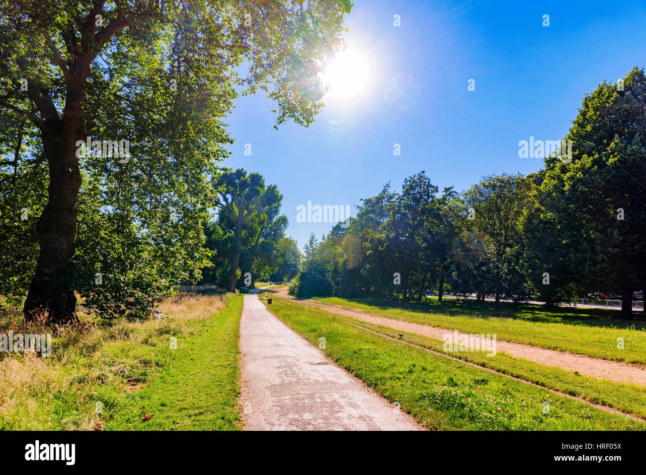 Walking and running in london park hi-res stock photography and images ...
