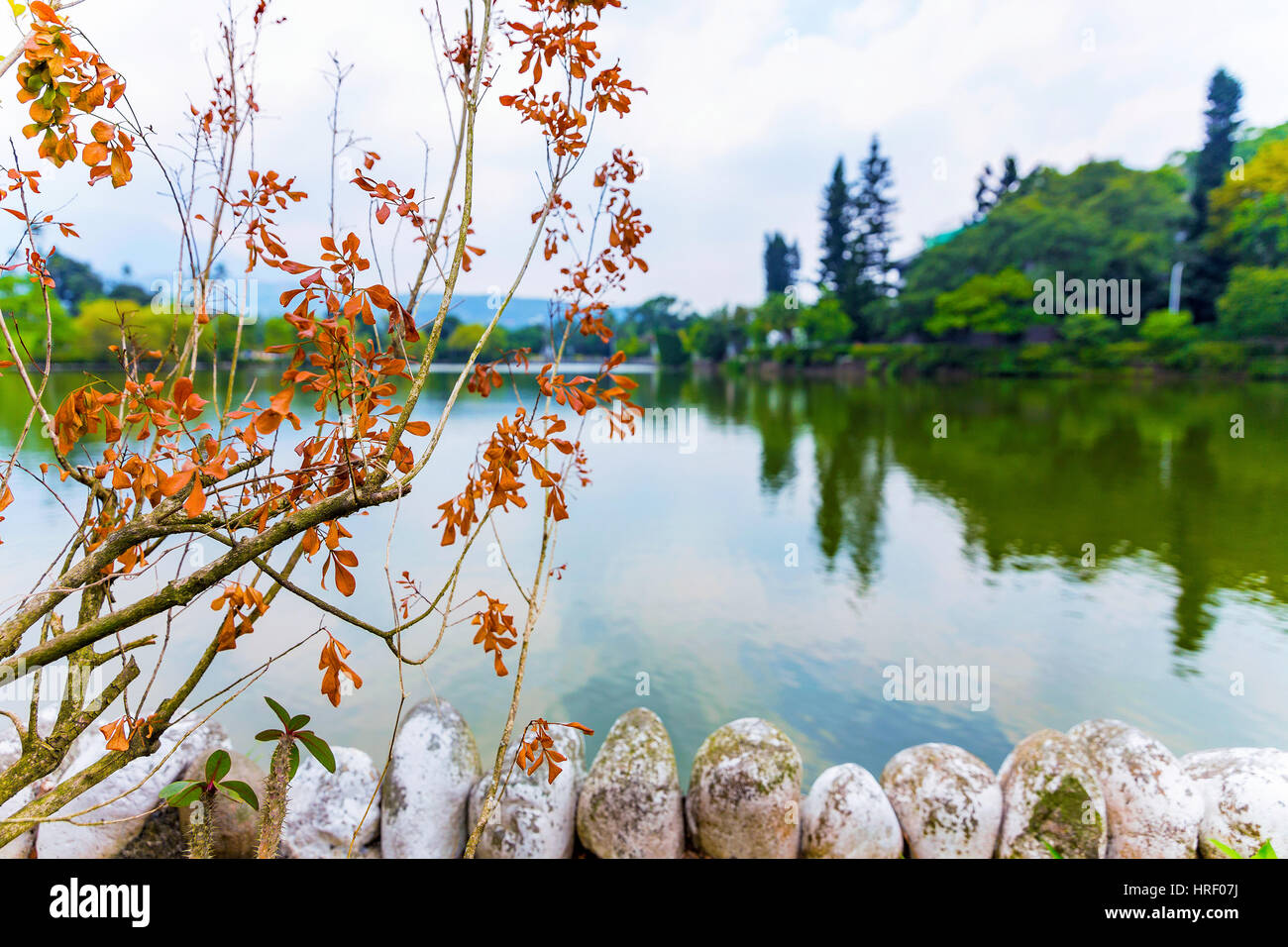 Peaceful nature scene by a lake Stock Photo - Alamy