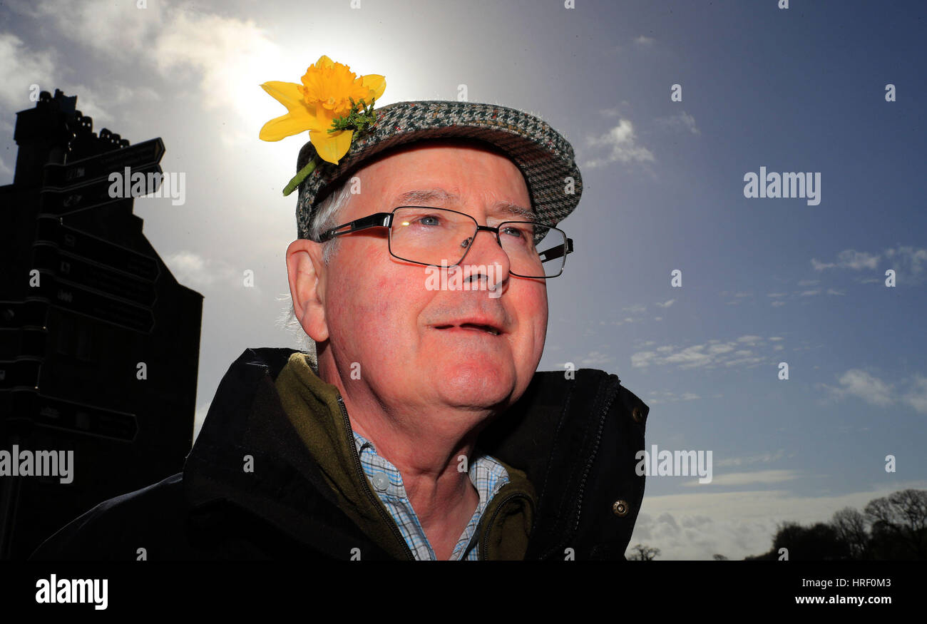 A patriotic Welsh man (name not given) wears a Daffodil outside ...
