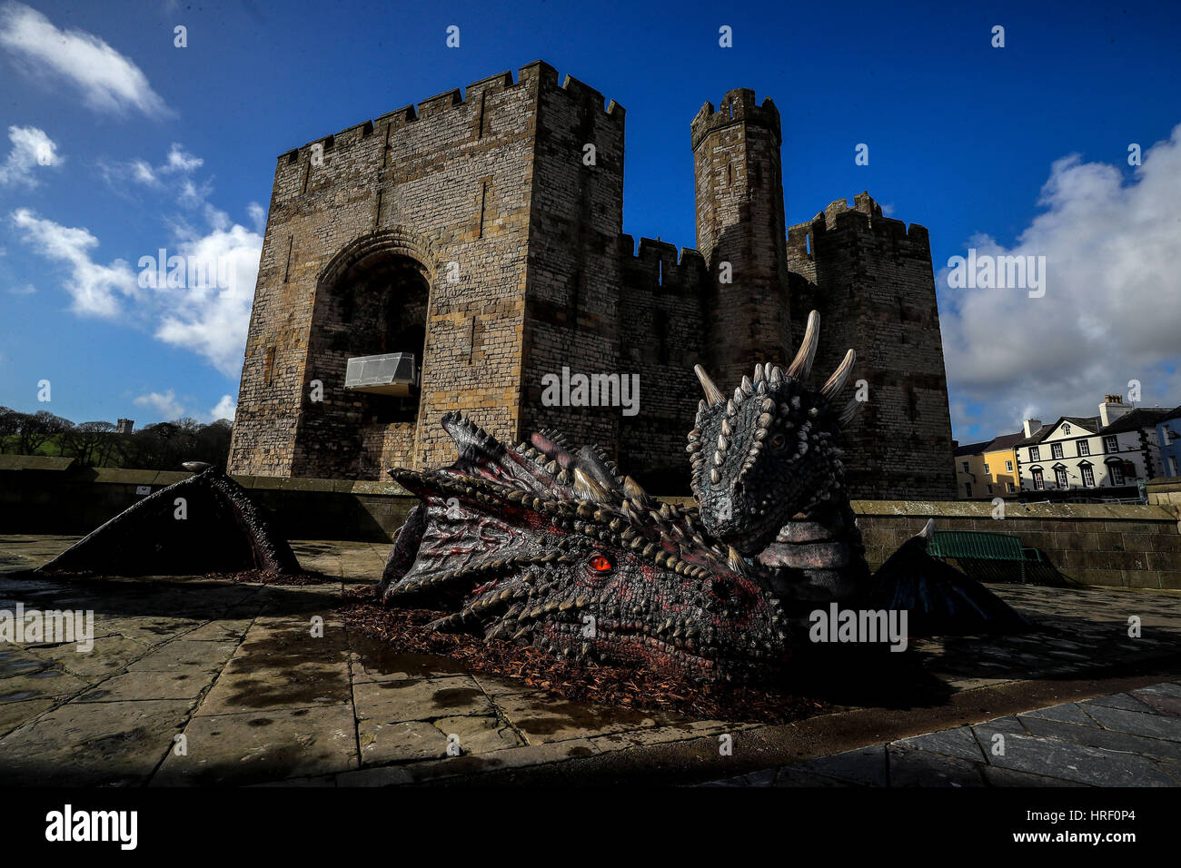 Dewi and Dwynwen in a Cwtch or a romantic embrace outside Caernarfon ...