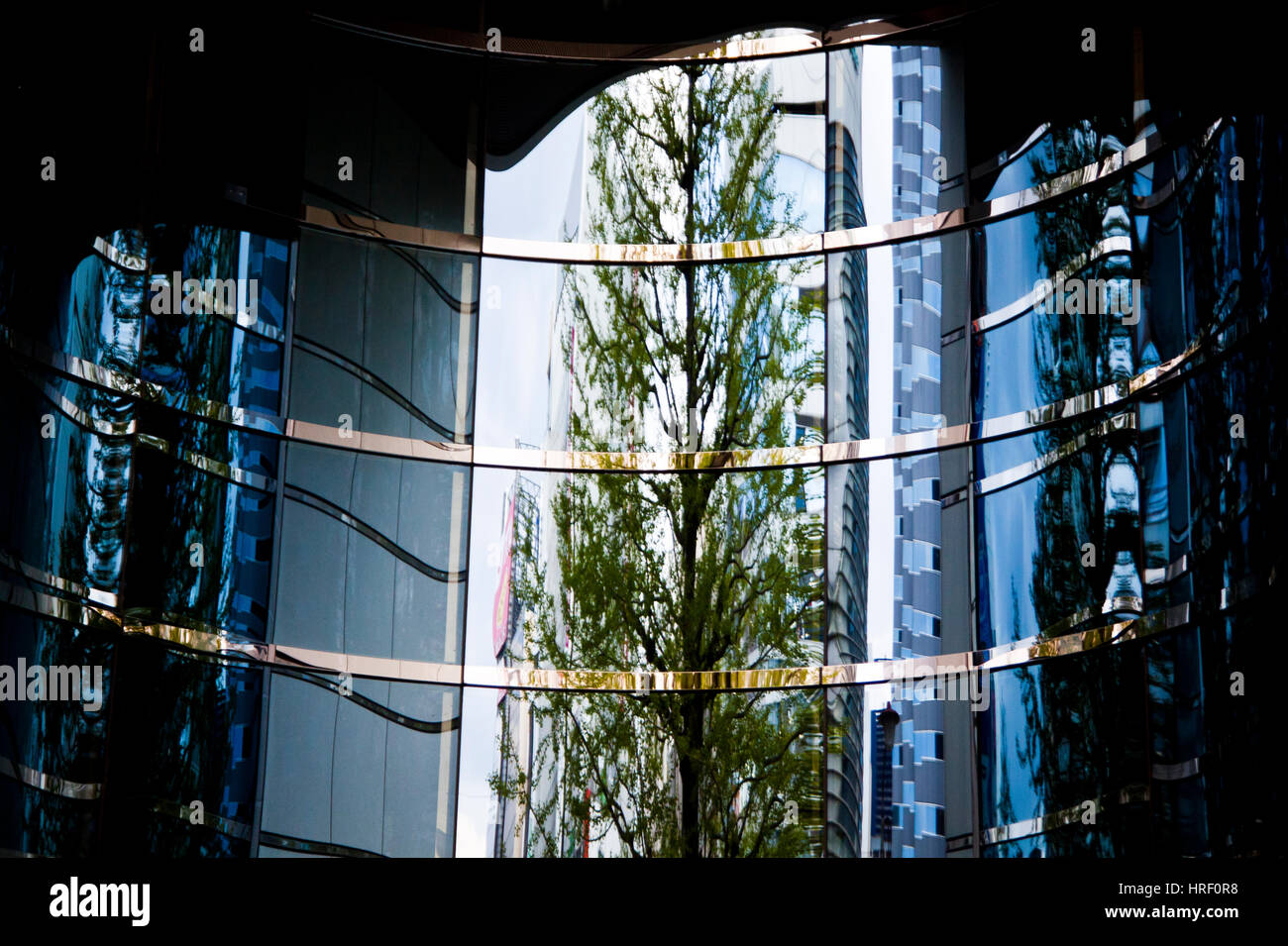 A tree reflected in an office block window in Tokyo, Japan Stock Photo ...