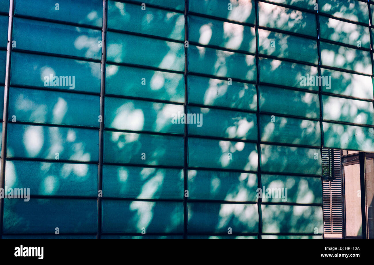 Shadows from trees fall on the shuttered walls of the Norwegian Embassy ...