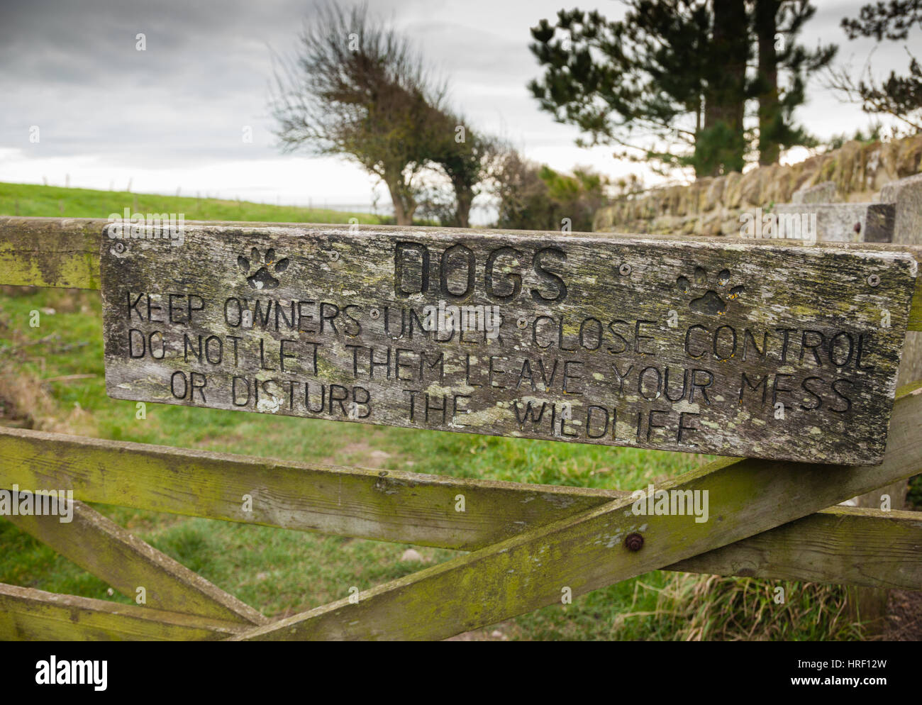 Sign saying keep dogs under control Stock Photo - Alamy