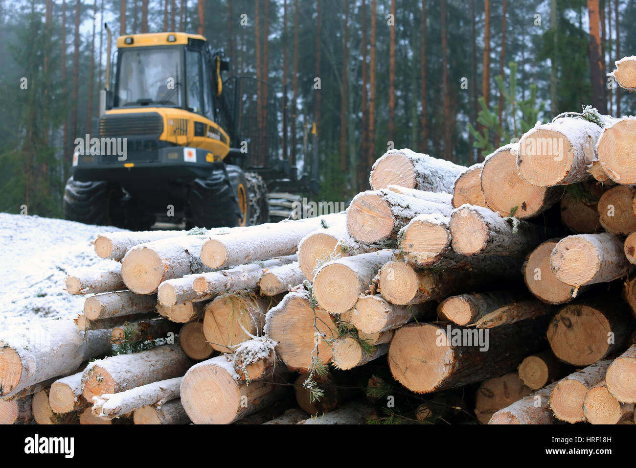 Finland forest hi-res stock photography and images - Alamy