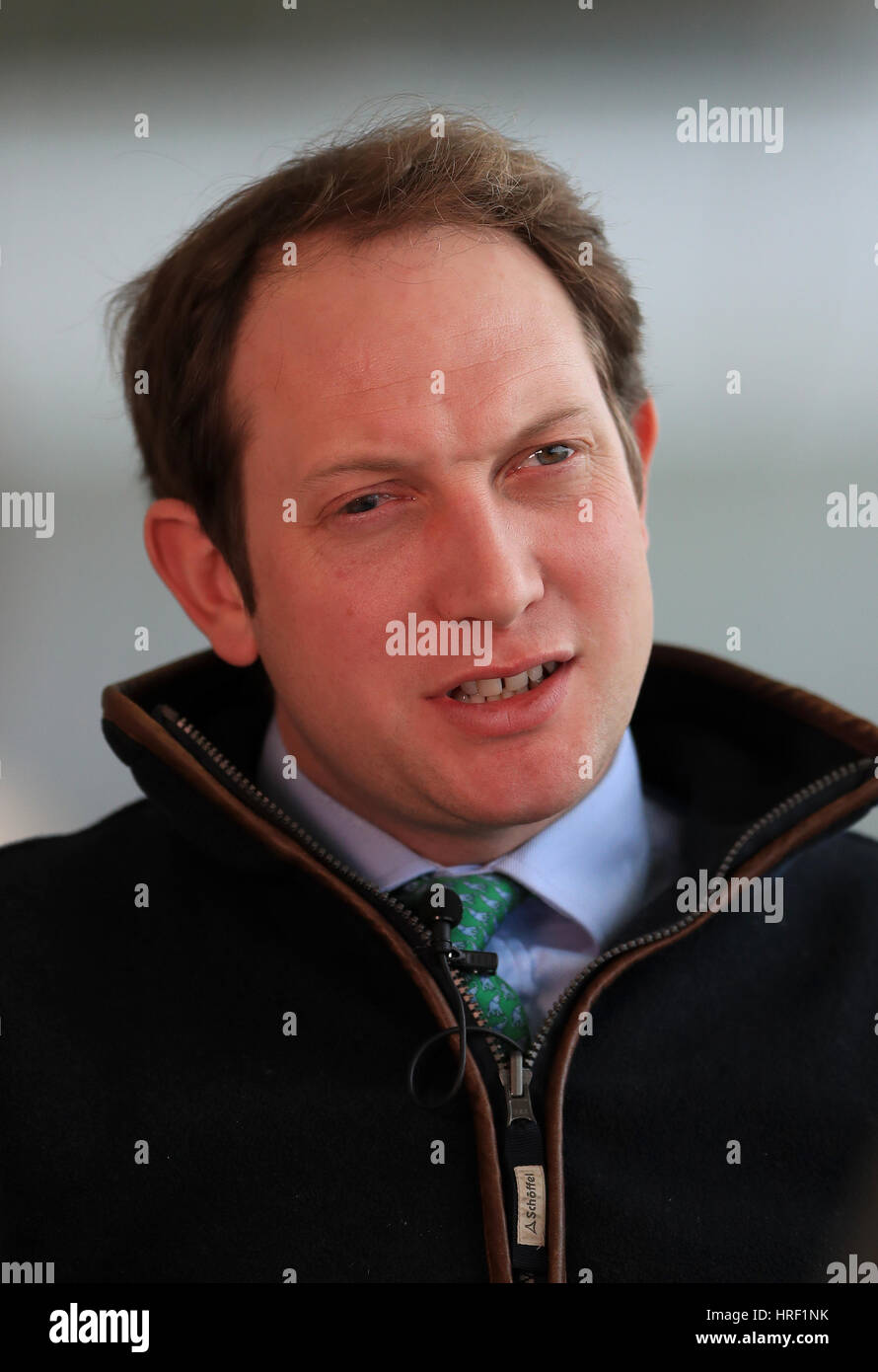 Ben pauling cheltenham hi-res stock photography and images - Alamy