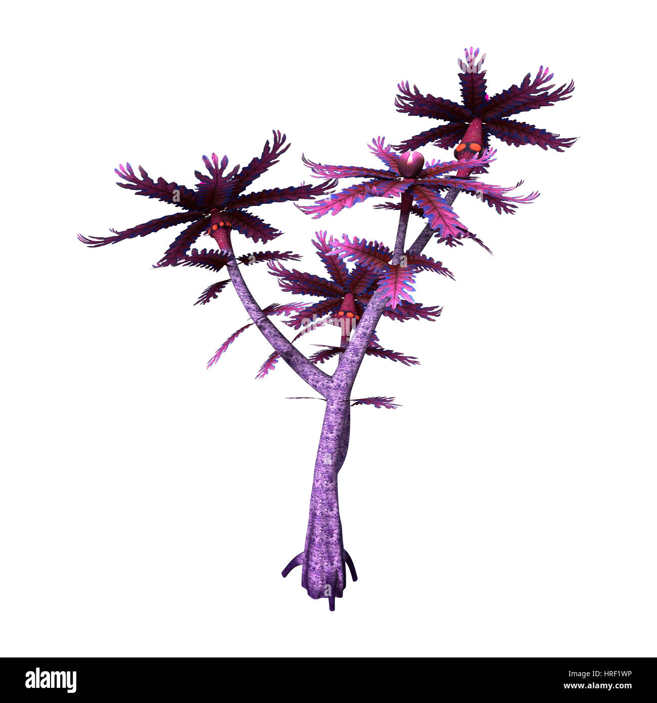 3D rendering of a fantasy alien plant isolated on white background ...