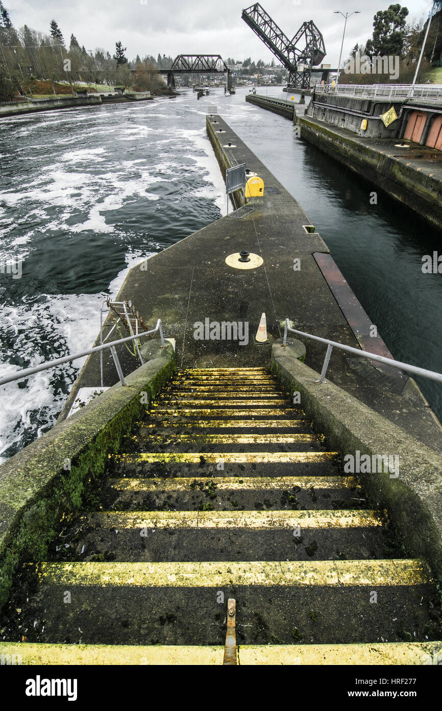 Sockeye salmon fish ladder hi-res stock photography and images - Alamy