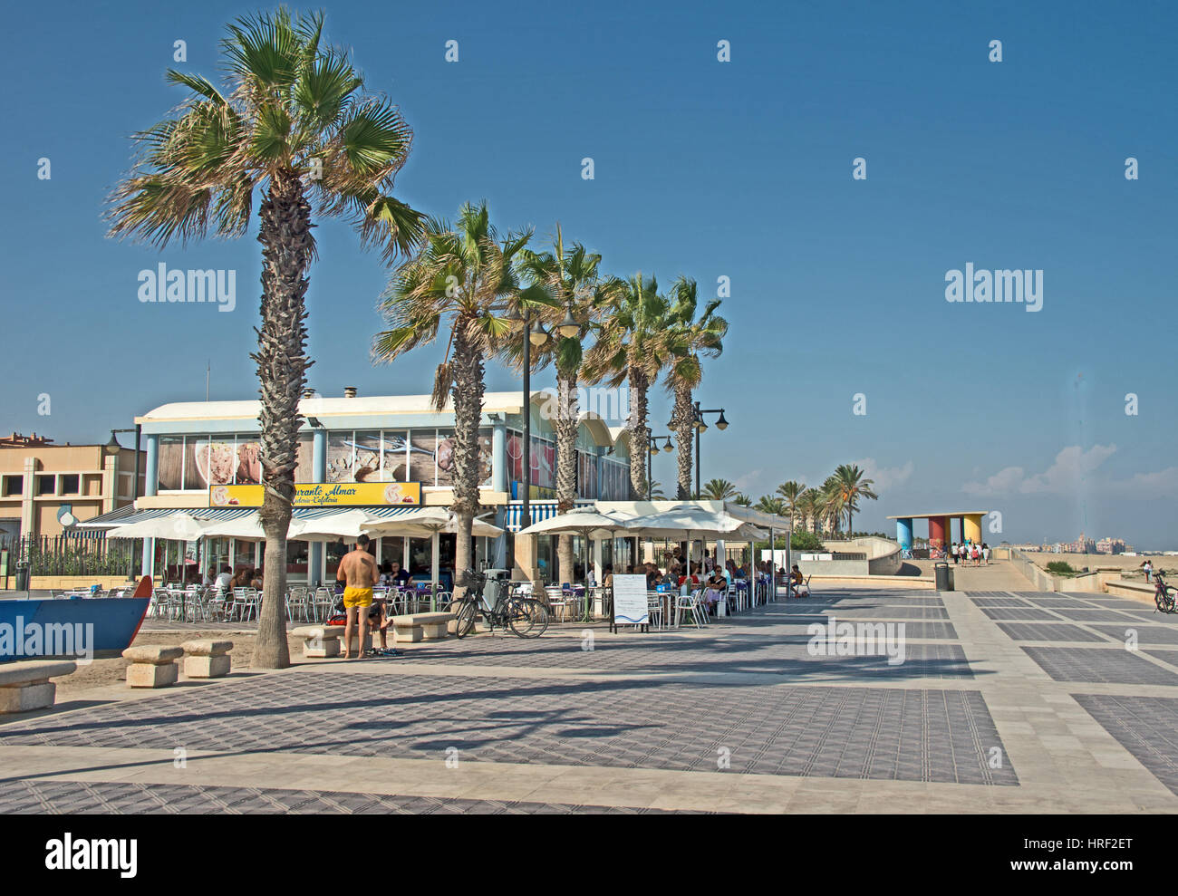 Valencia palm trees hi-res stock photography and images - Alamy