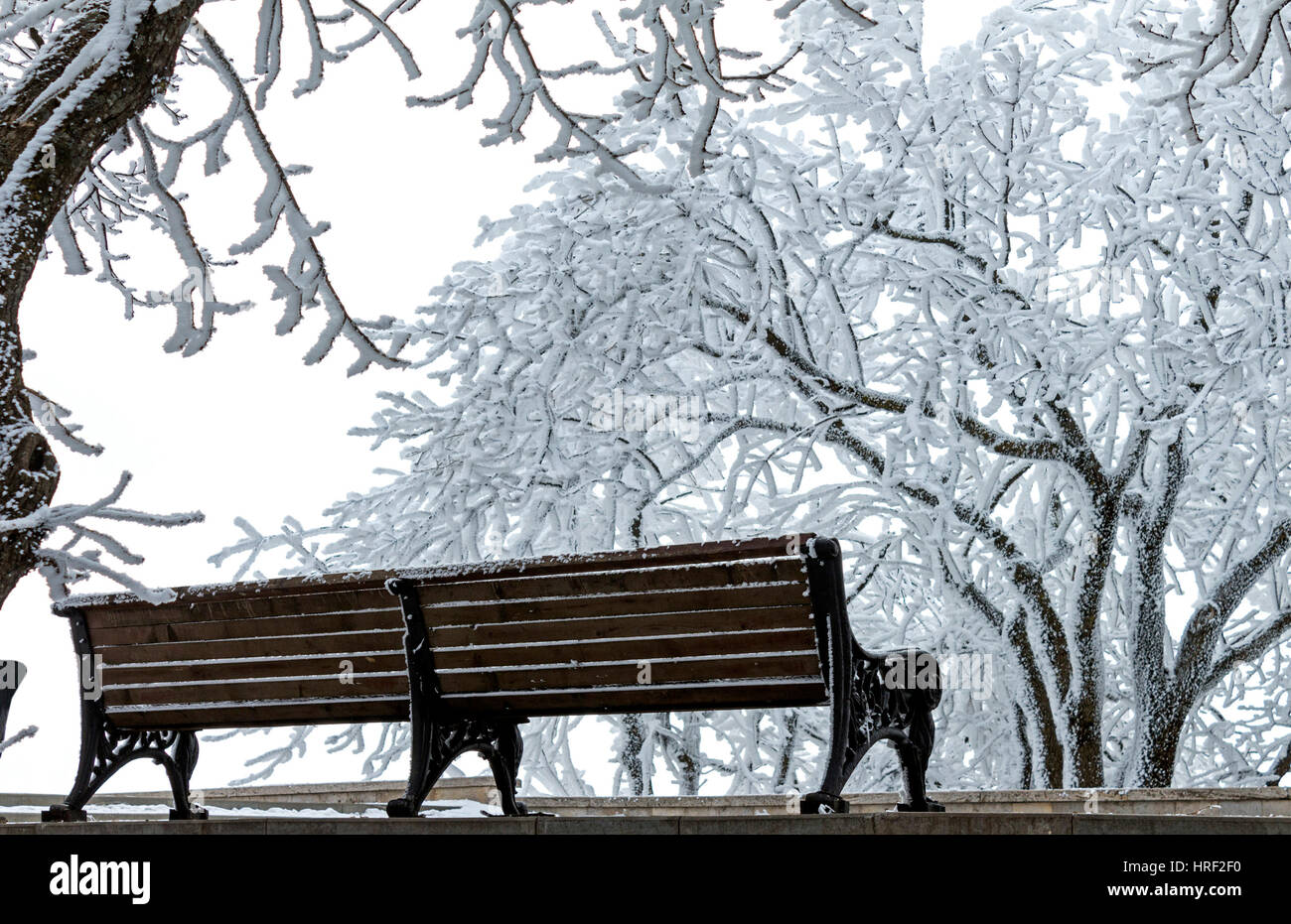 Northern temperature hi-res stock photography and images - Alamy