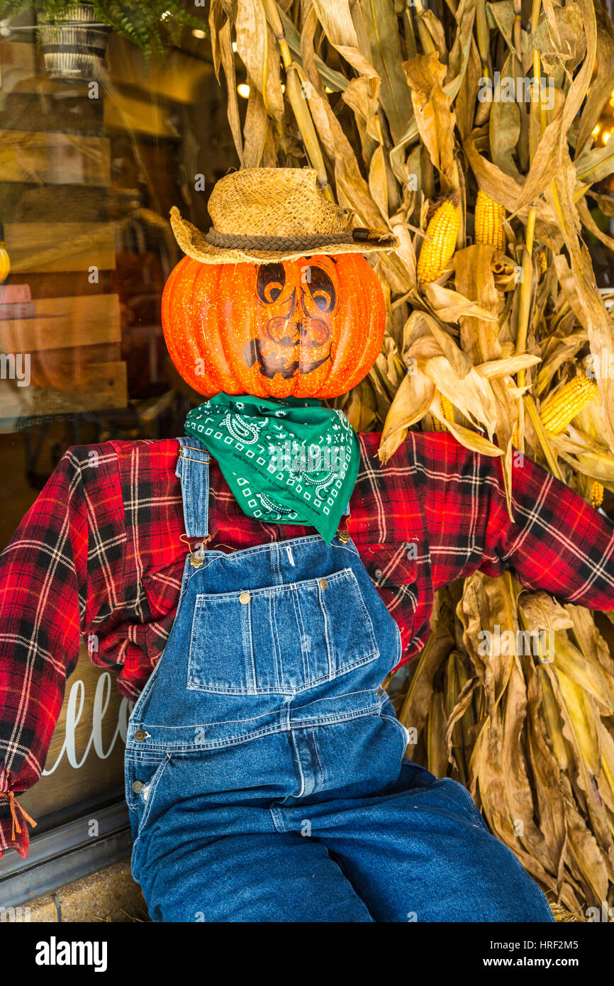 A pumpkin man fall display in downtown Wooster, Ohio, USA Stock Photo ...