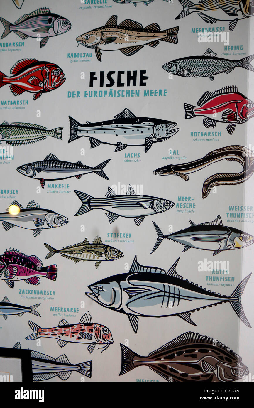 Fischkarte hi-res stock photography and images - Alamy