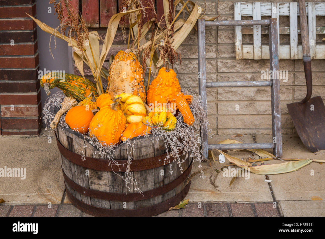 A gourd and pumpkin fall display in downtown Wooster, Ohio, USA Stock ...