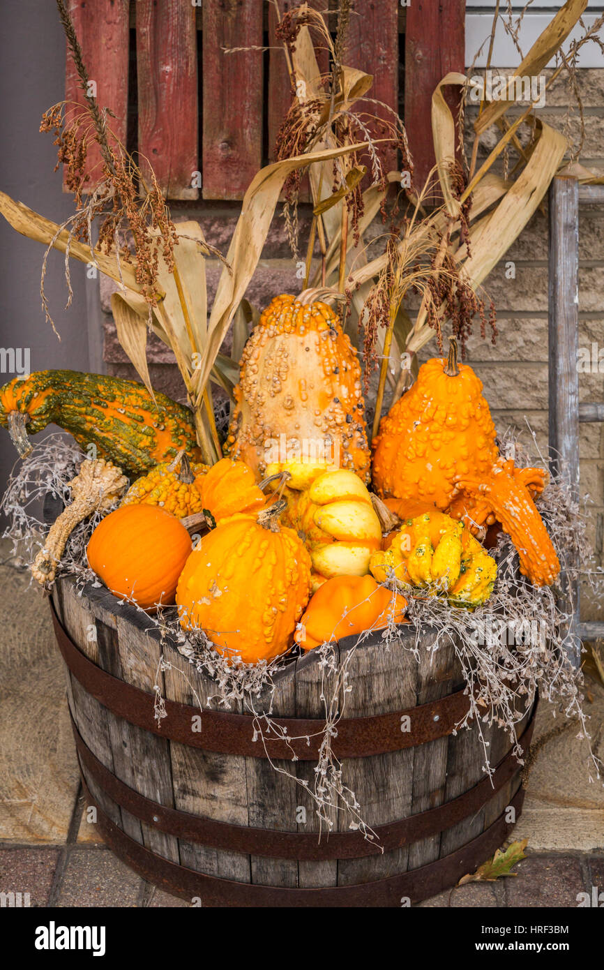 A gourd and pumpkin fall display in downtown Wooster, Ohio, USA Stock ...