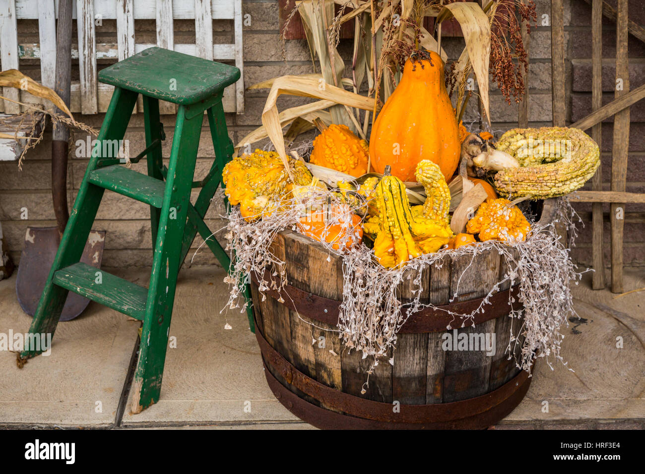 A gourd and pumpkin fall display in downtown Wooster, Ohio, USA Stock ...
