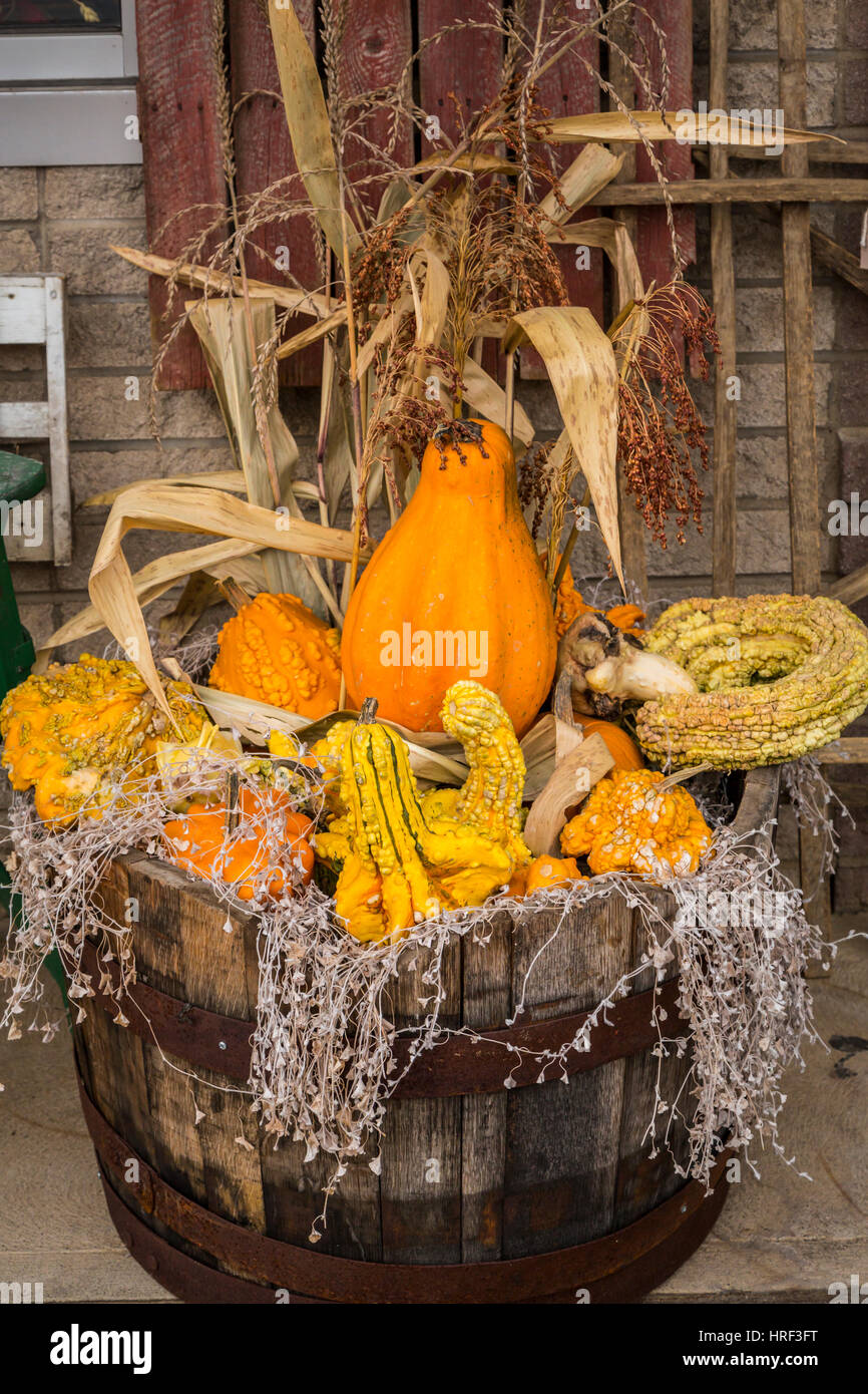 A gourd and pumpkin fall display in downtown Wooster, Ohio, USA Stock ...