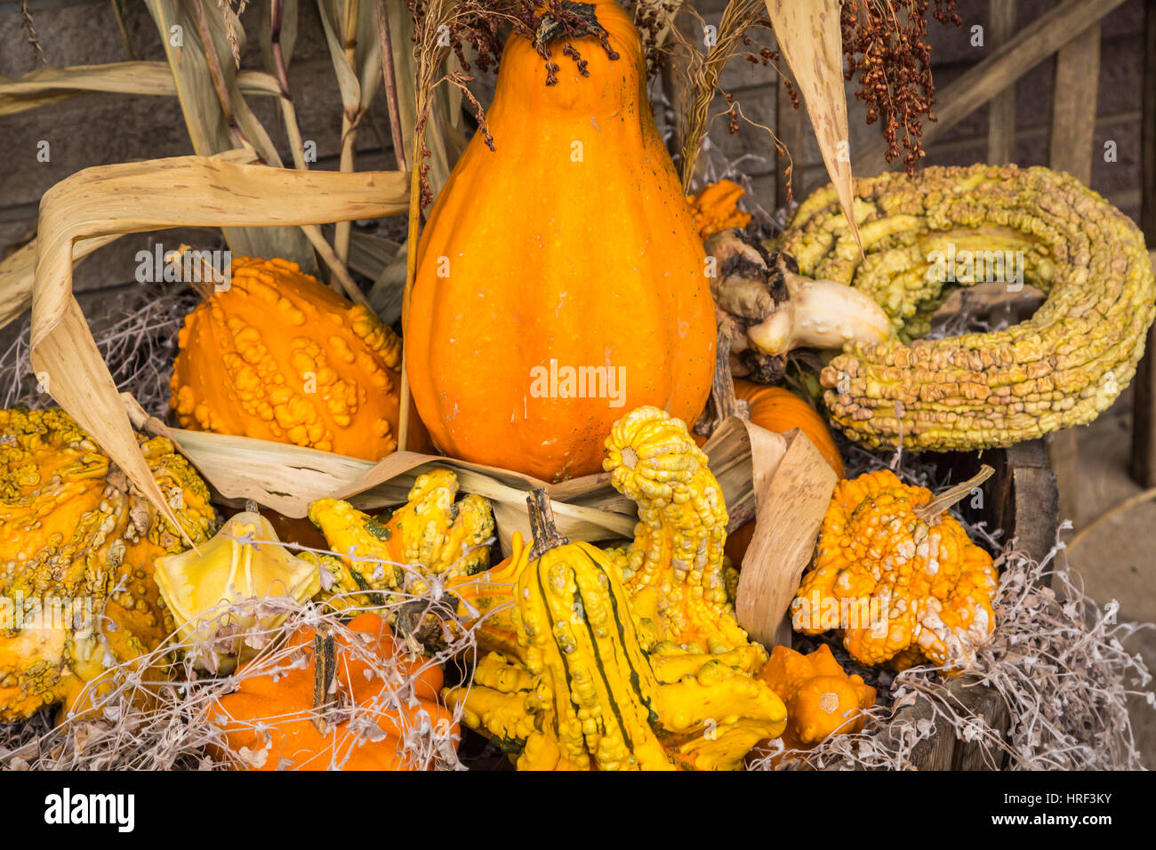 A gourd and pumpkin fall display in downtown Wooster, Ohio, USA Stock ...