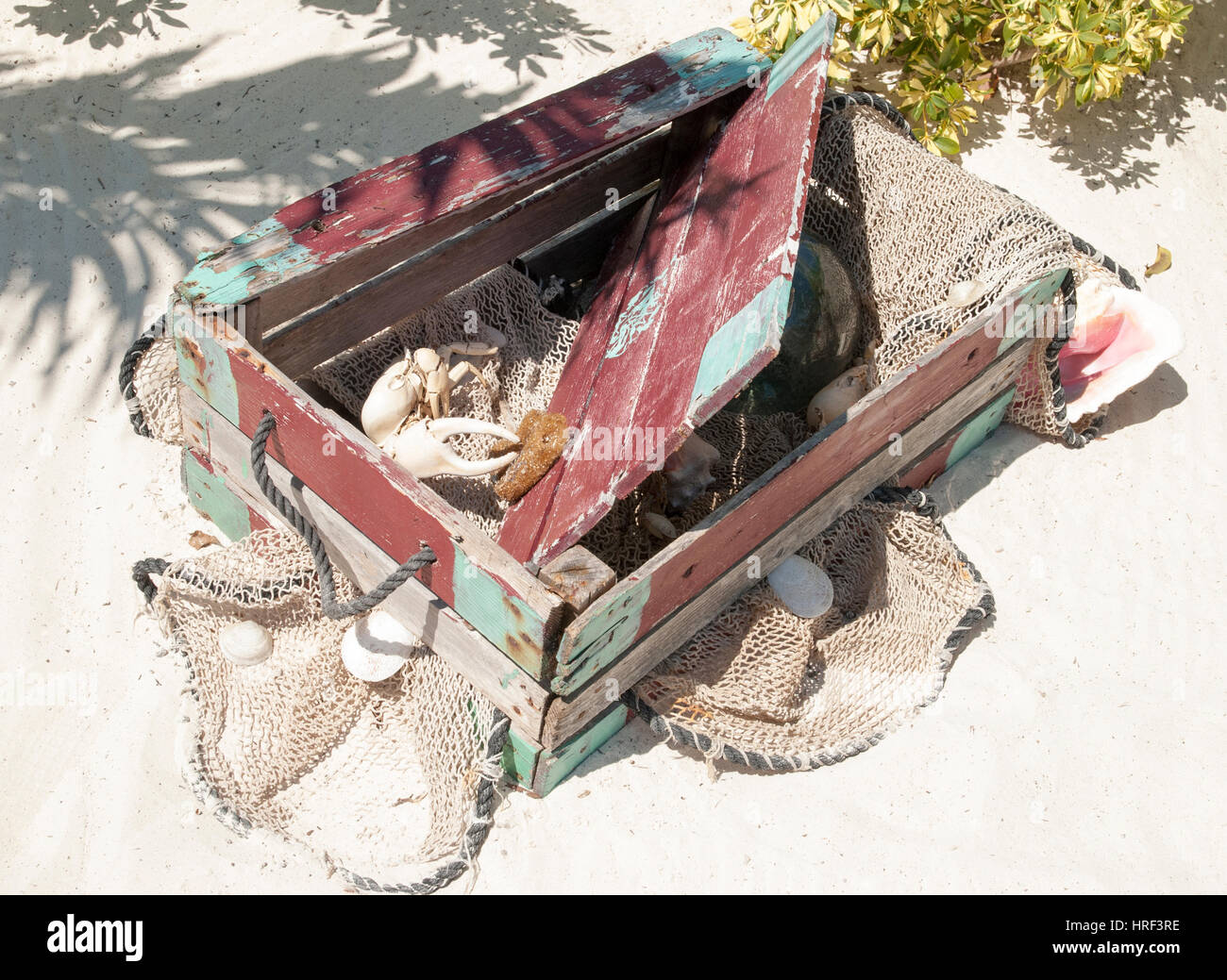 The old wooden box with crab skeleton, shells and the fishing net on ...