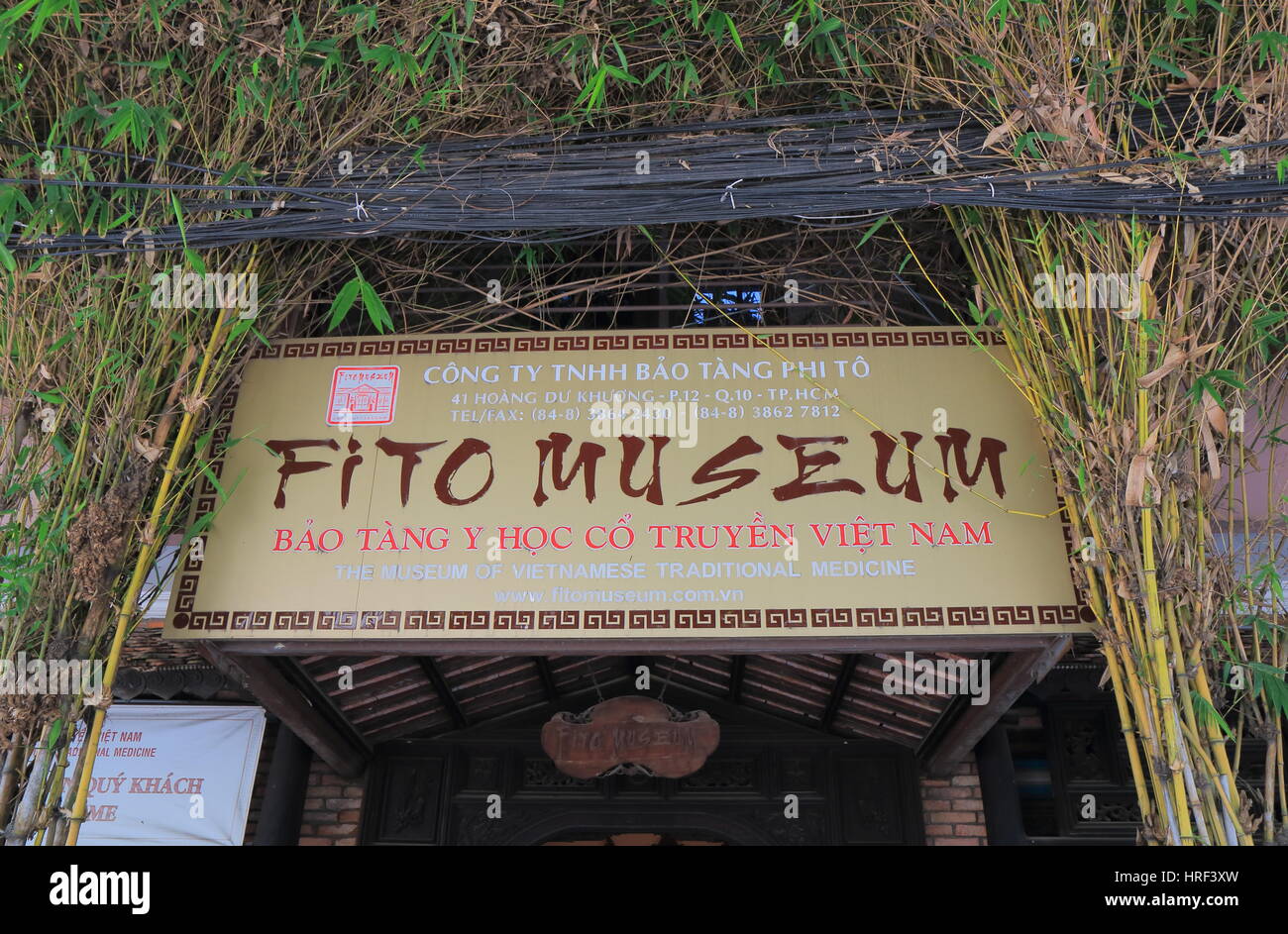 FITO Museum of Traditional Vietnamese Medicine in Ho Chi Minh City ...