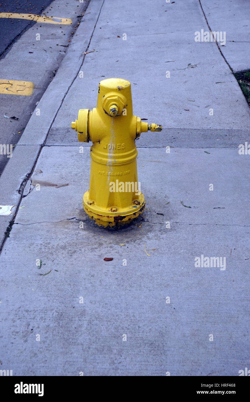 Yellow Fire Hydrant Stock Photo - Alamy