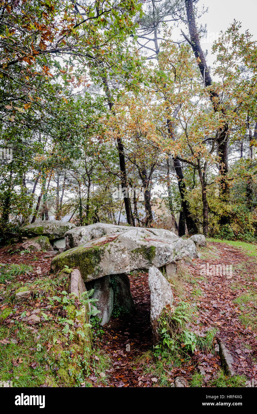 The Carnac stones (Alignements de Carnac) are an exceptionally dense ...