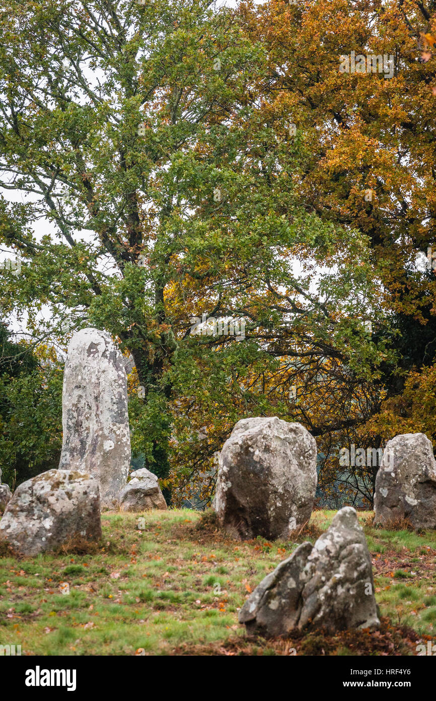 The Carnac stones (Alignements de Carnac) are an exceptionally dense ...