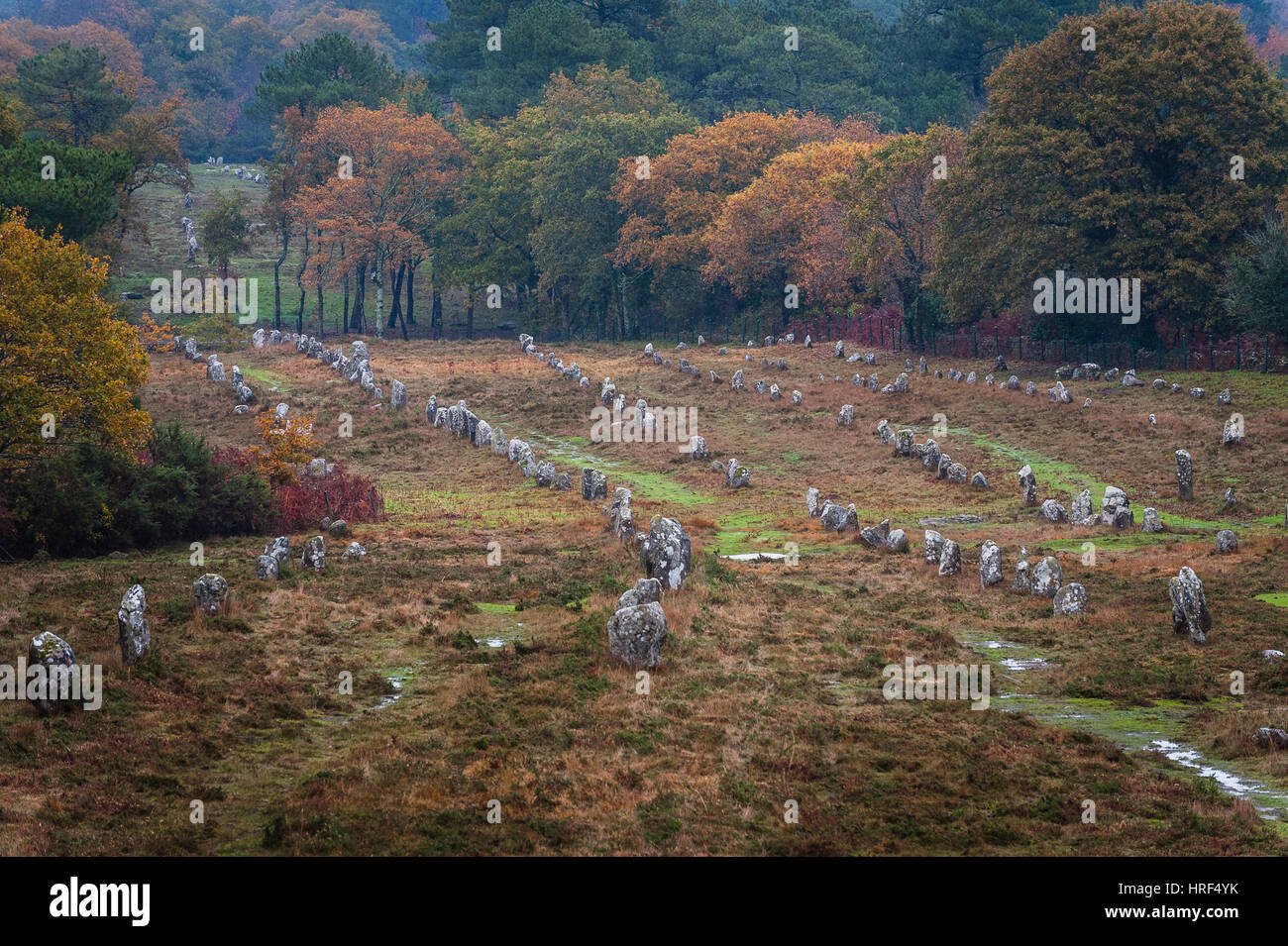 The Carnac stones (Alignements de Carnac) are an exceptionally dense ...