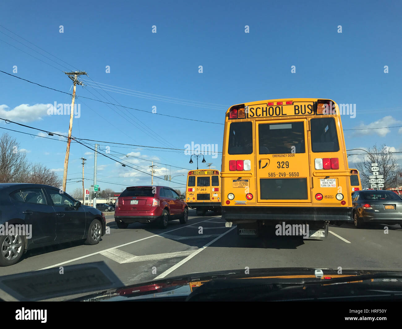School buses on the road Stock Photo - Alamy