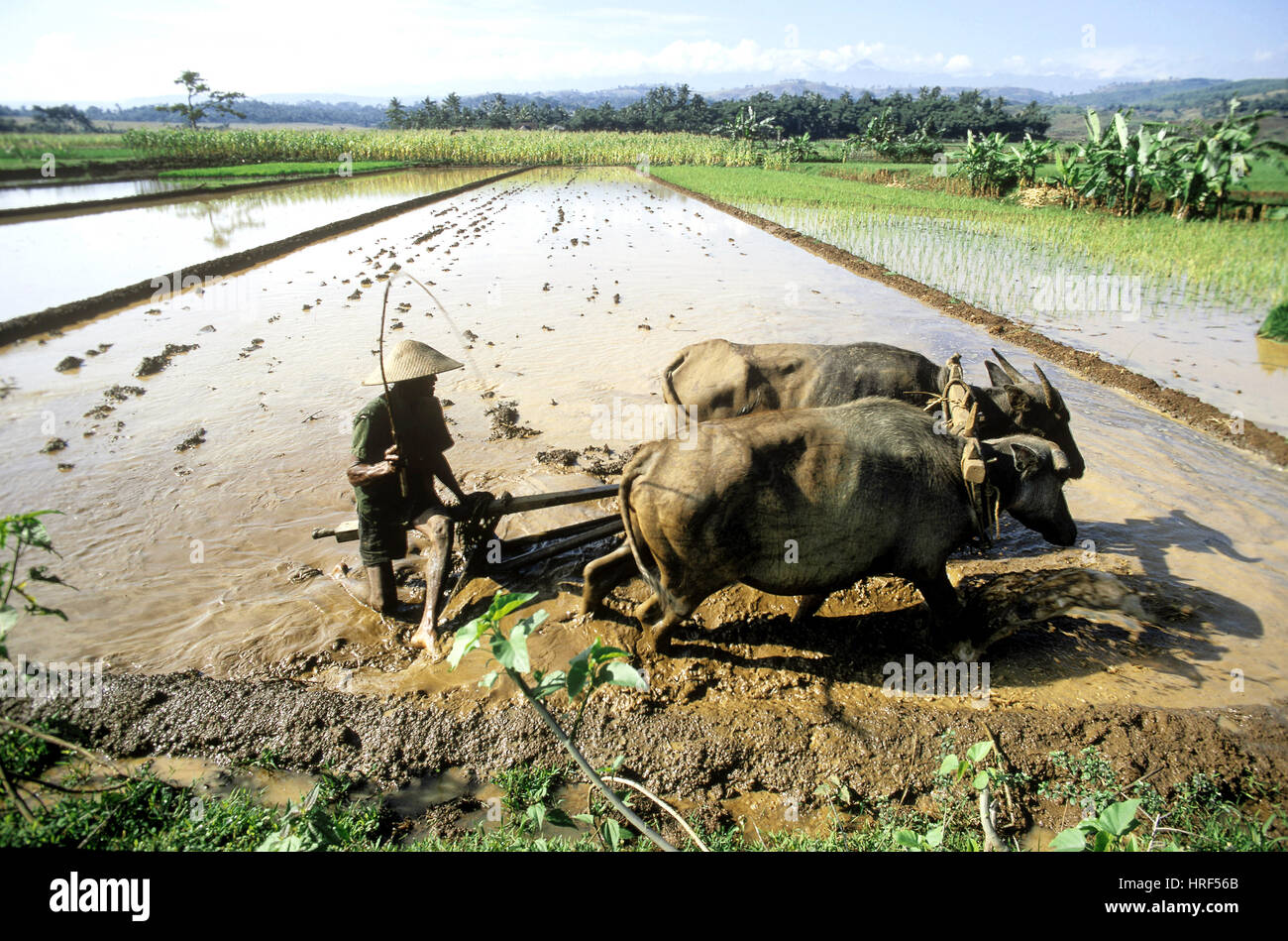 Farmer ploughing hi-res stock photography and images - Alamy