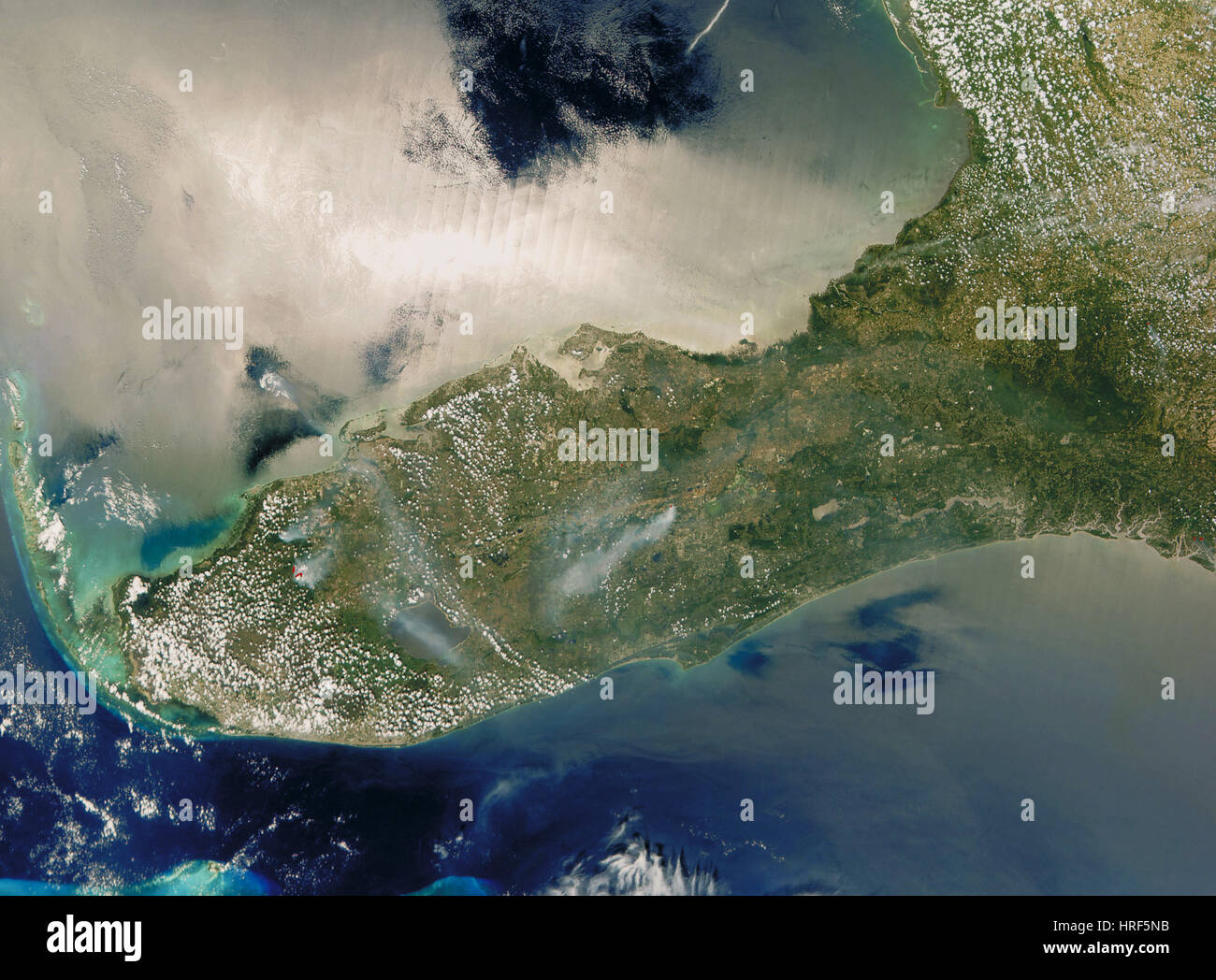 Fires in Florida Stock Photo - Alamy