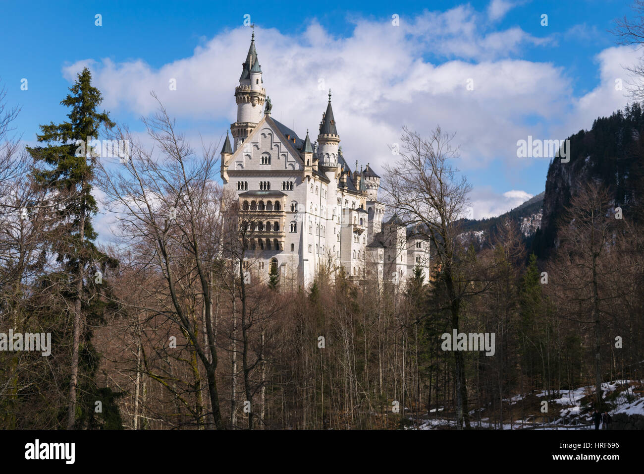 Neuschwanstein Castle in winter landscape, Fussen, Germany, Bavariam ...