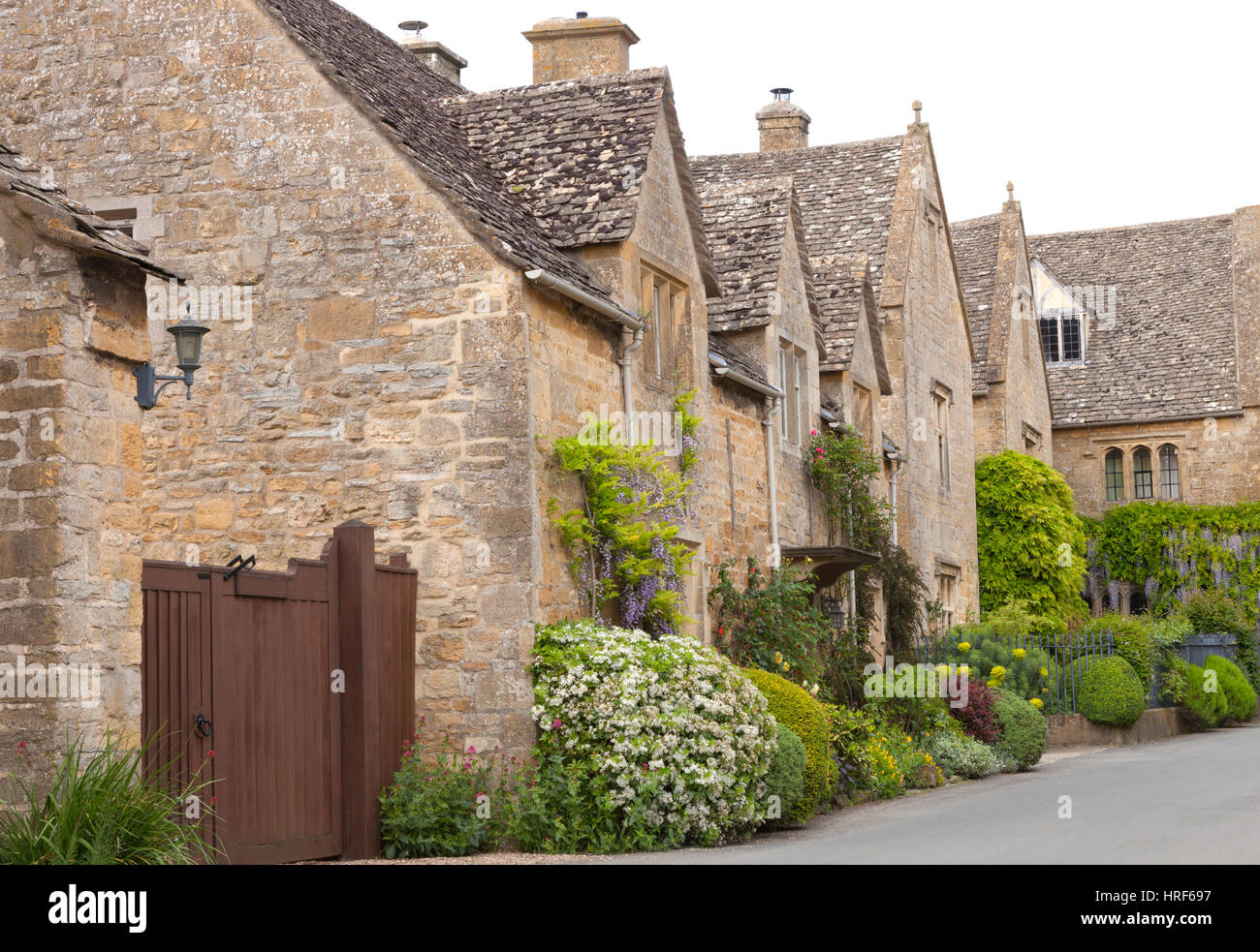 Rows of traditional Cotswolds stone cottages with flowering front ...
