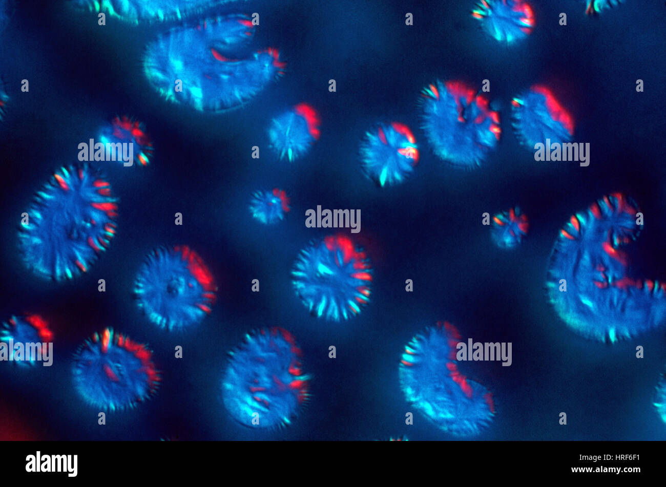 Sublimated Cigarette Smoke (LM Stock Photo - Alamy