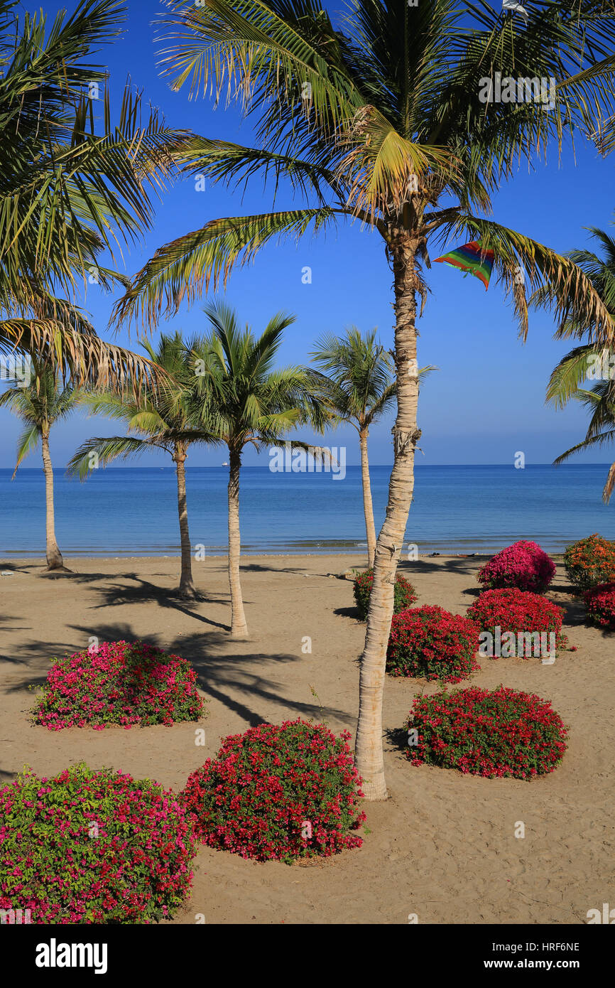 Qurum beach hi-res stock photography and images - Alamy