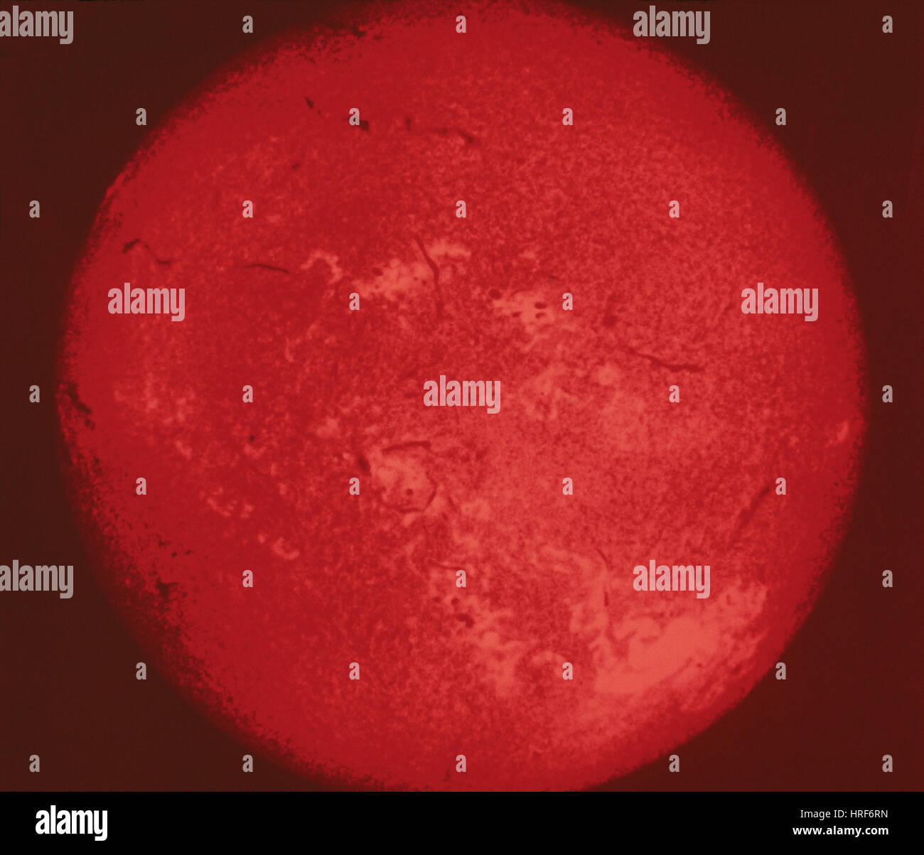 Hydrogen prominences hi-res stock photography and images - Alamy