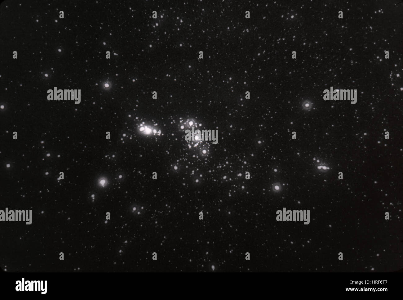 Star of orion hi-res stock photography and images - Alamy