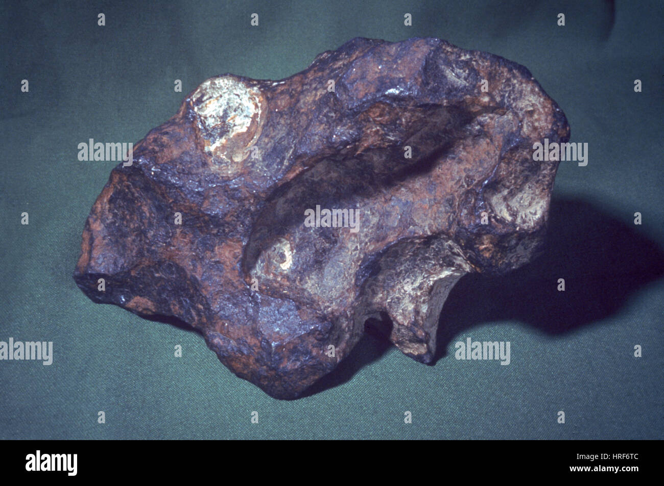 Canyon diablo meteorite iron hi-res stock photography and images - Alamy