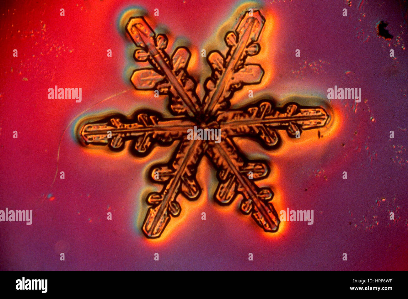 Network of hexagonal patterns hi-res stock photography and images - Alamy