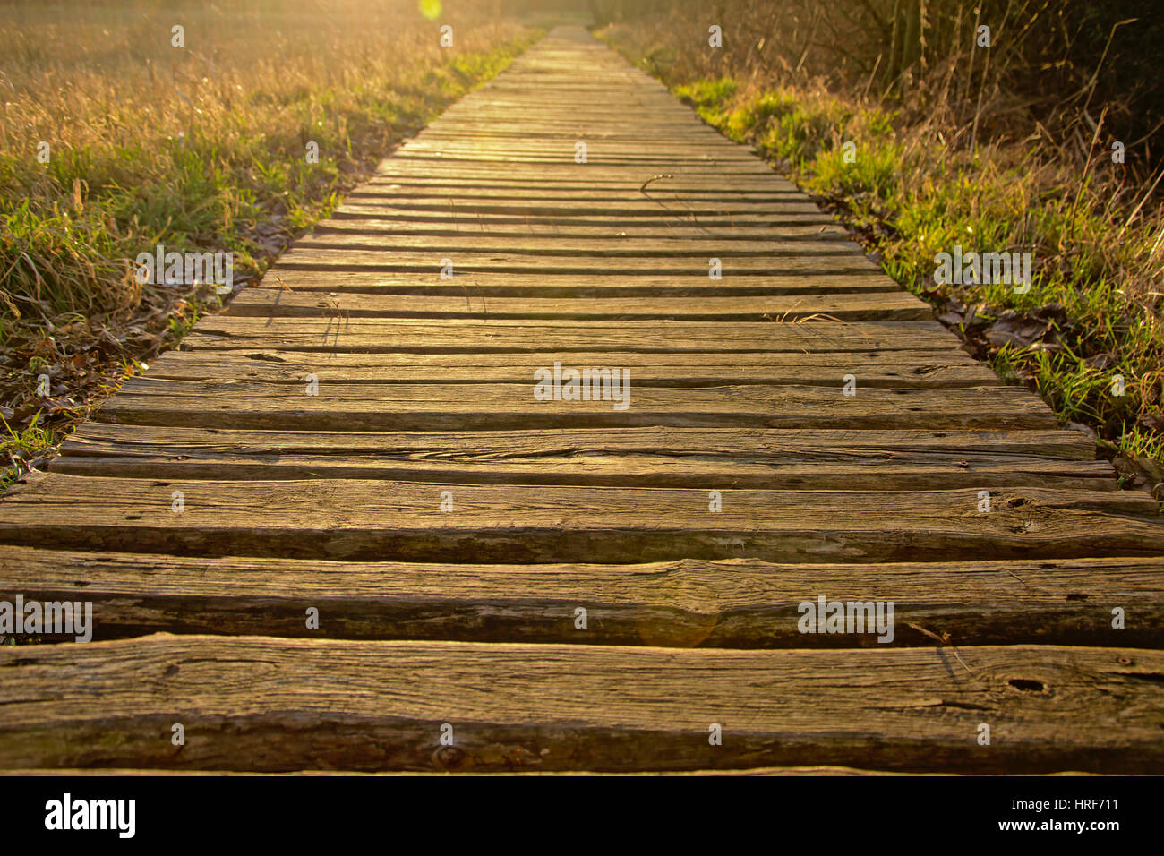 Sunlight sun flare trees walkway hi-res stock photography and images ...