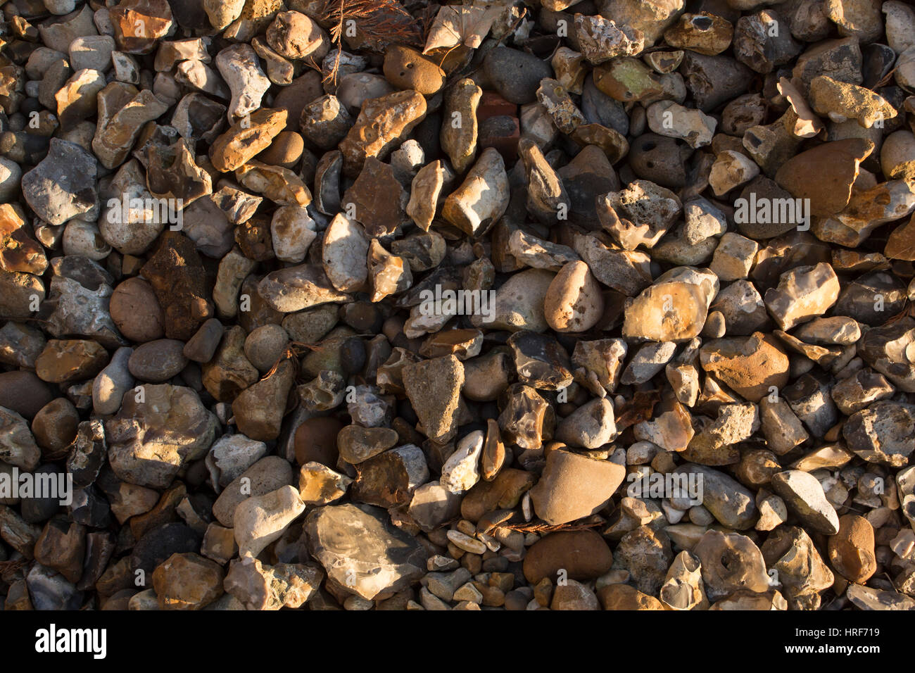 Pebbles of different sizes Stock Photo - Alamy