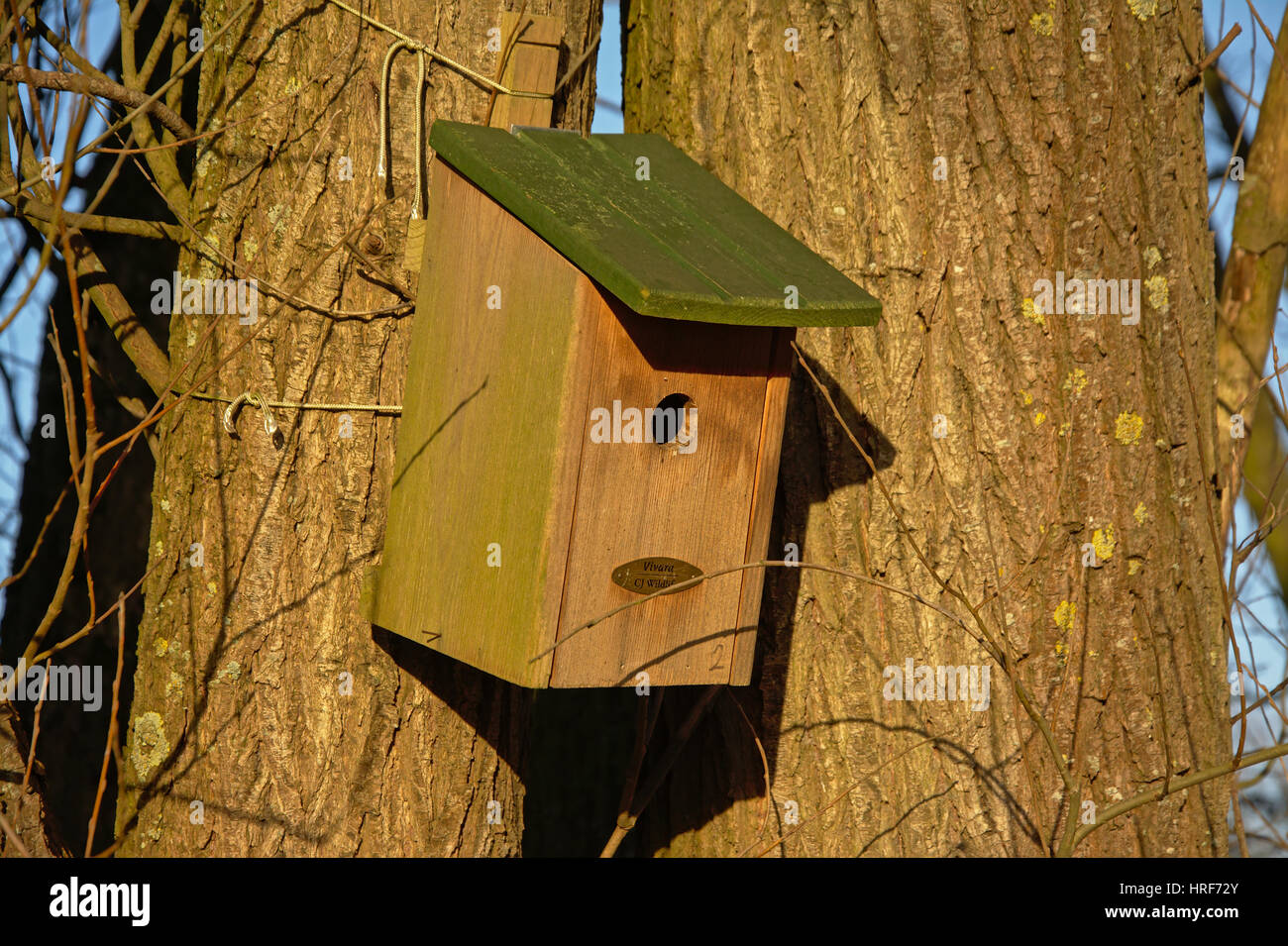 Wooden bird house hanging on a tree in the forest Stock Photo - Alamy