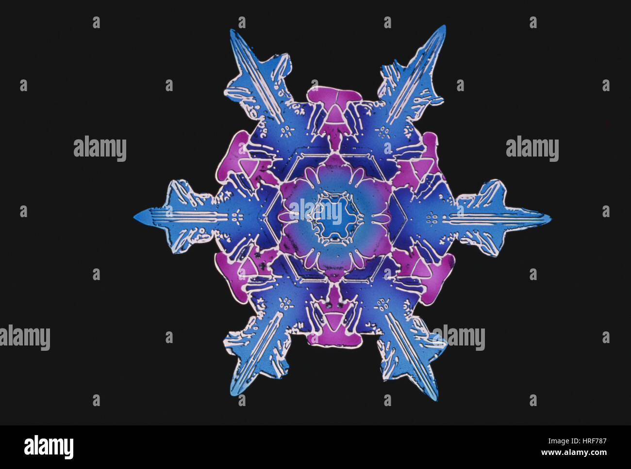 Color enhanced snowflake hi-res stock photography and images - Alamy