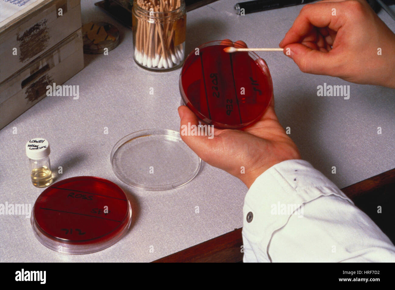 Antibiotic Sensitivity Test Stock Photo - Alamy