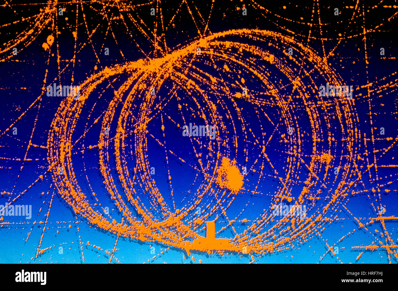 Particle Collision Tracks