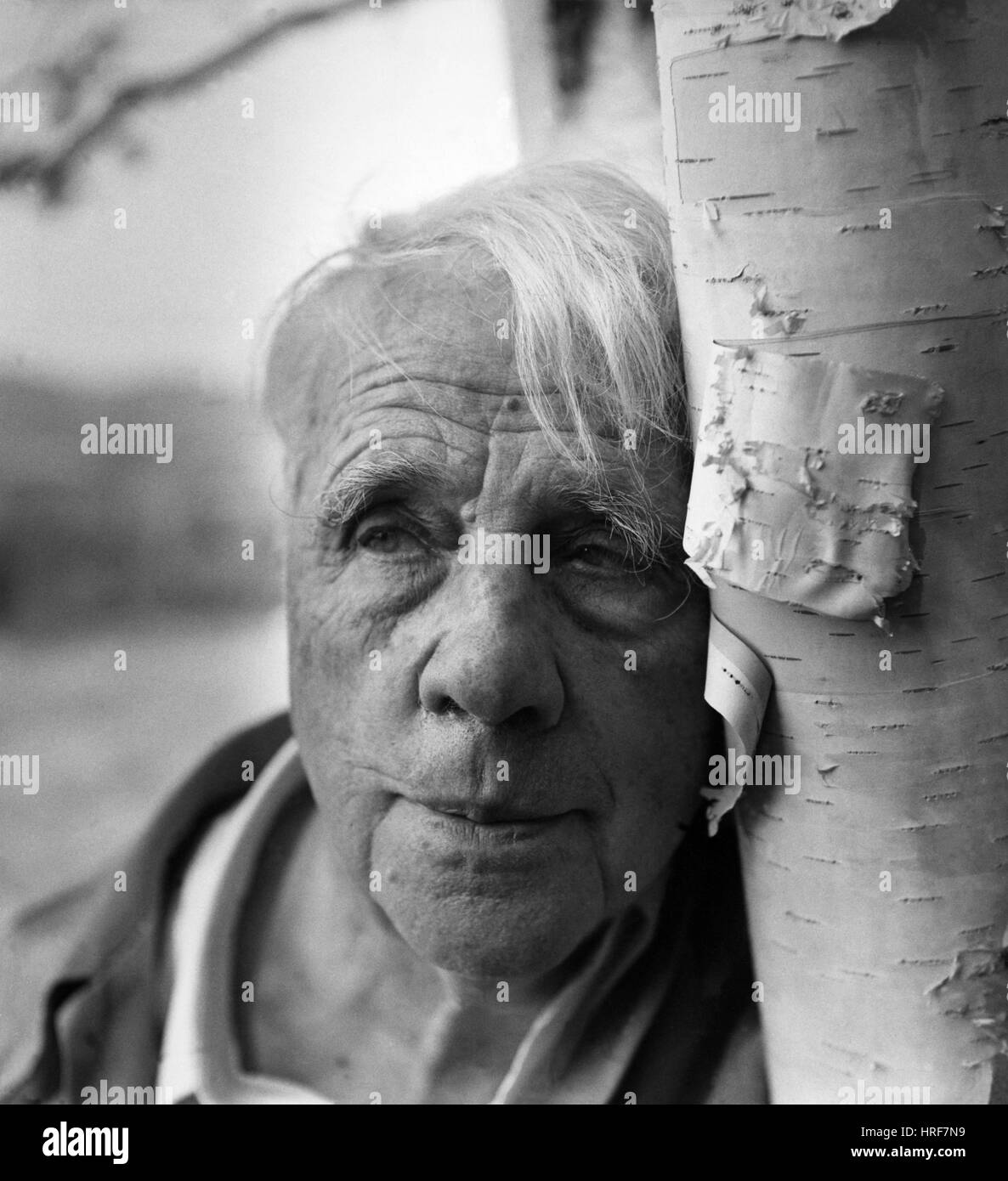 Robert frost hi-res stock photography and images - Alamy