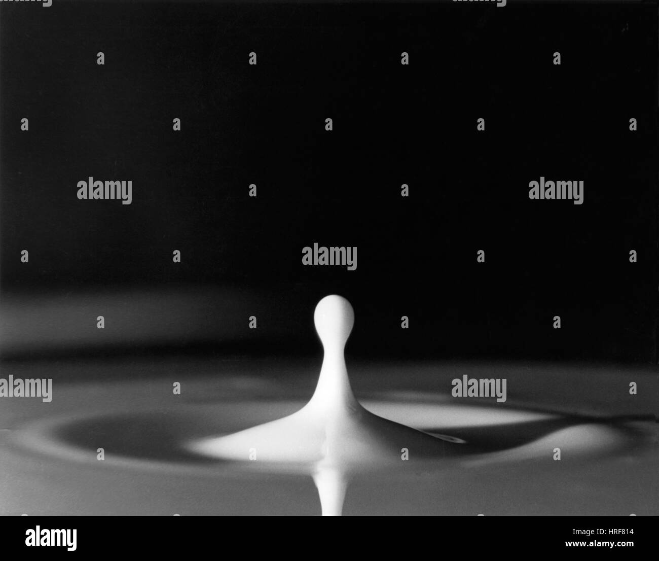 Dripping milk Black and White Stock Photos & Images - Alamy