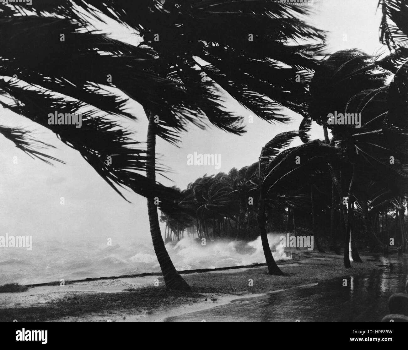 Hurricane storm surge hi-res stock photography and images - Alamy