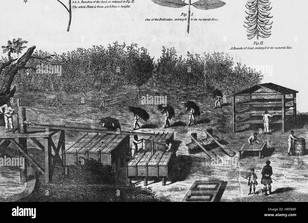 Slaves culture hi-res stock photography and images - Alamy