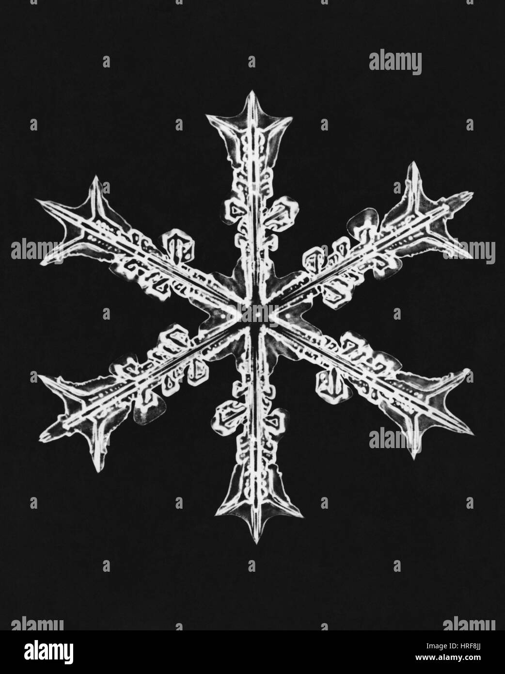 Dendrite snowflake hi-res stock photography and images - Alamy