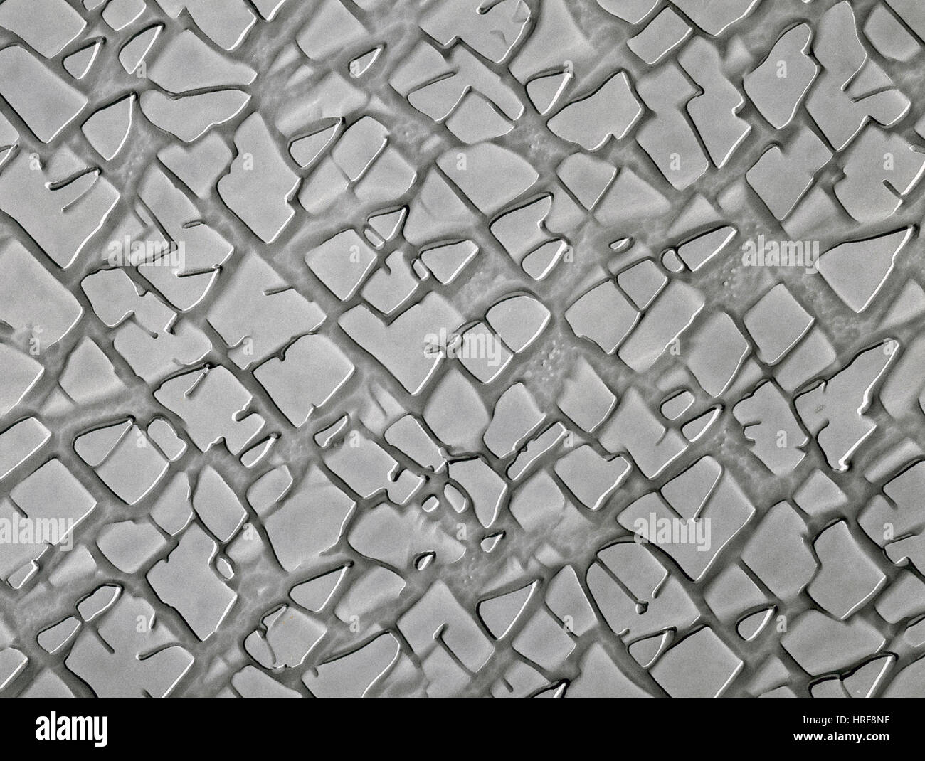 Nickel alloy micrograph hi-res stock photography and images - Alamy