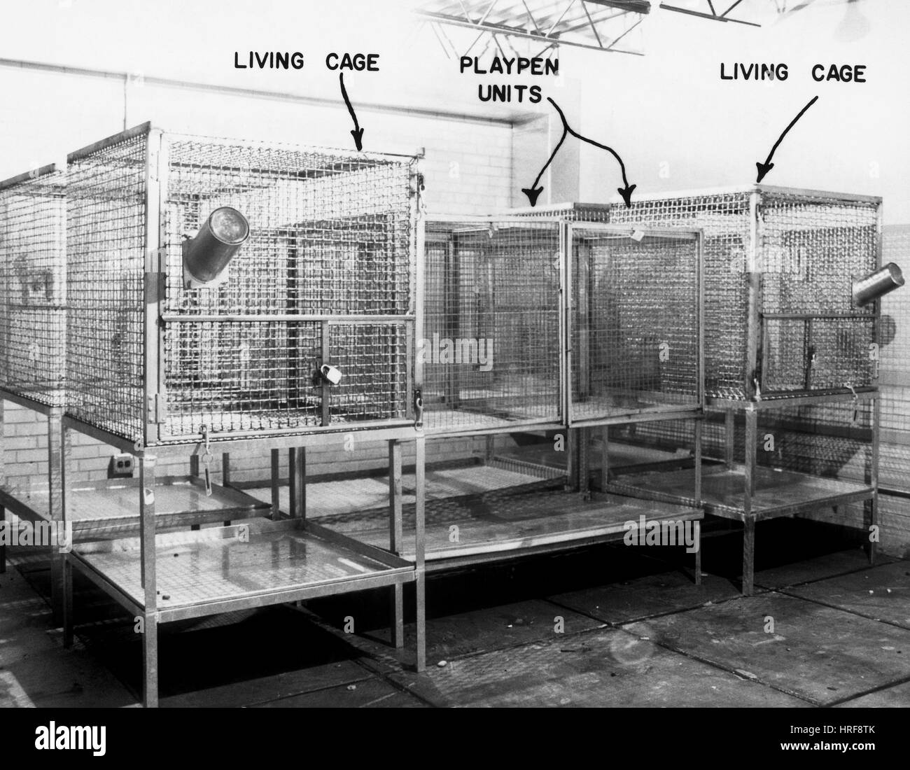 Cages animal Black and White Stock Photos & Images - Alamy